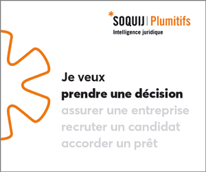 Jurisprudence dédiées au droit municipal sur le réseau RIM